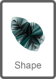 Instruments for particles shape and size analysis with Occhio